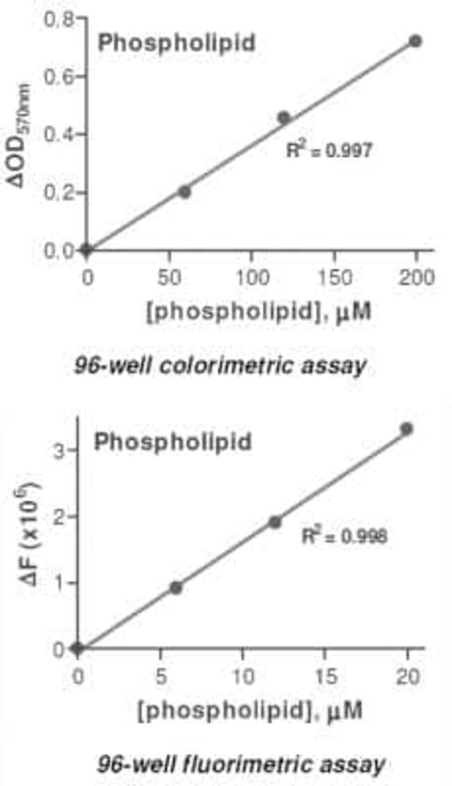 Novus Biologicals Phospholipid Assay Kit (Colorimetric/Fluorometric) 1 ...