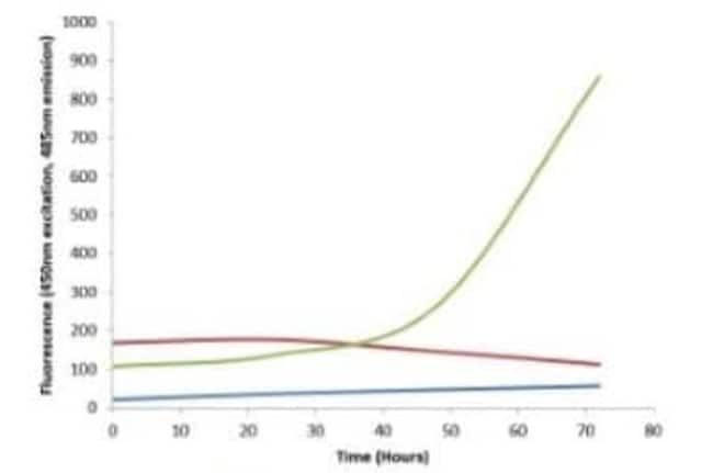 Novus Biologicals Recombinant Mouse gamma-Synuclein Active, Pre-formed ...