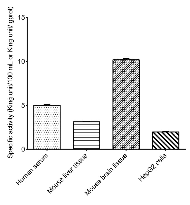 Novus Biologicals Alkaline Phosphatase Activity Assay Kit (Colorimetric ...