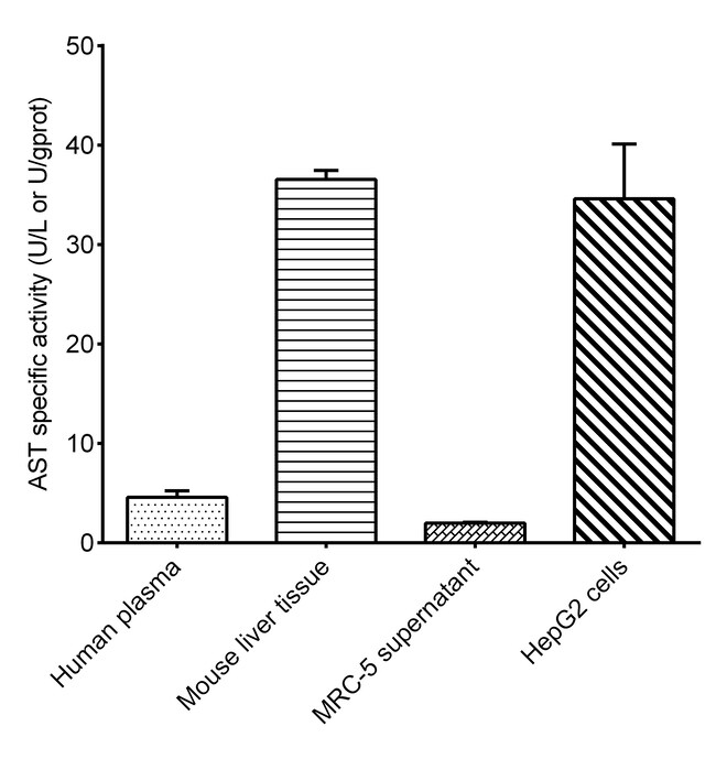 Novus Biologicals Aspartate Aminotransferase Activity Assay Kit ...