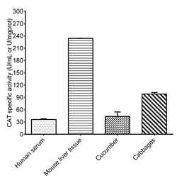 Novus Biologicals Catalase Activity Assay Kit (Colorimetric) 100 ...