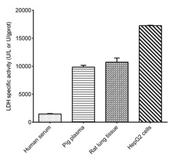 Novus Biologicals Lactate Dehydrogenase Activity Assay Kit ...