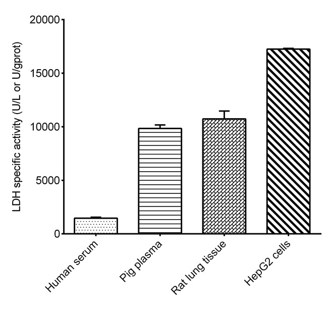 Novus Biologicals Lactate Dehydrogenase Activity Assay Kit ...