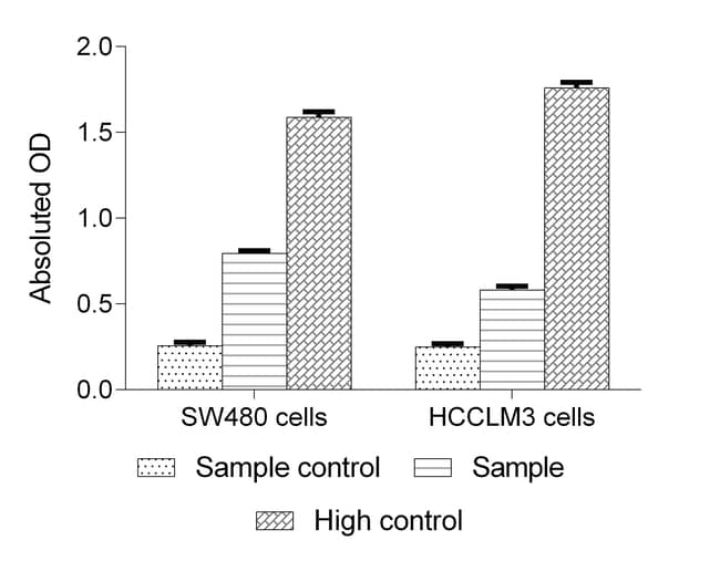 Novus Biologicals Lactate Dehydrogenase Assay Kit (Colorimetric) 96 ...