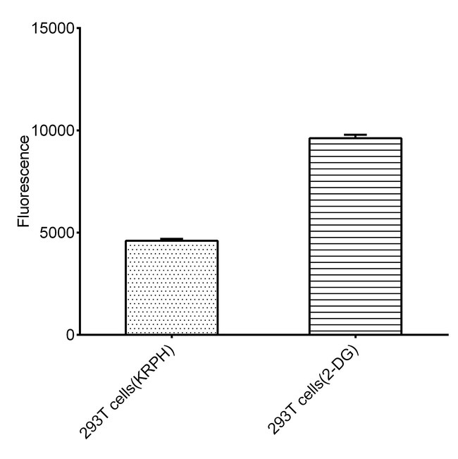 Novus Biologicals Glucose Uptake Assay Kit (Fluorometric) 1 Kit:Cell ...