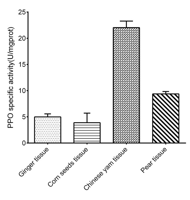 Novus Biologicals Polyphenol Oxidase/PPO Activity Assay Kit ...