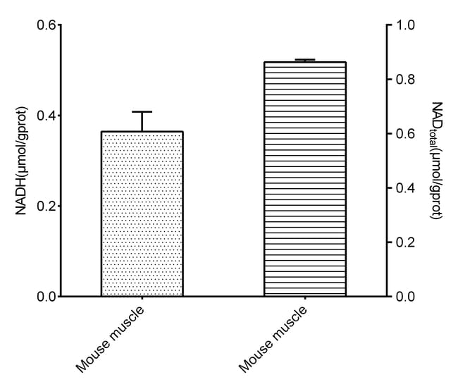 Novus Biologicals NAD+/NADH Assay Kit (Colorimetric) | Fisher Scientific