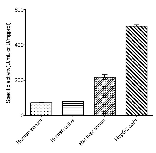 Novus Biologicals Total Superoxide Dismutase/T-SOD Activity Assay Kit ...