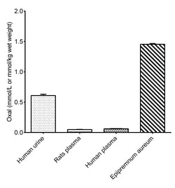 Novus Biologicals Oxalic Acid/Oxalate Assay Kit (Colorimetric) 96 Tests ...