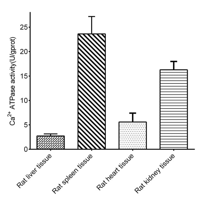 Novus Biologicals Calcium ATPase Activity Assay Kit (Colorimetric ...