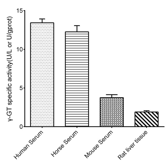 Novus Biologicals gamma-Glutamyl Transferase/GGT Activity Assay Kit ...