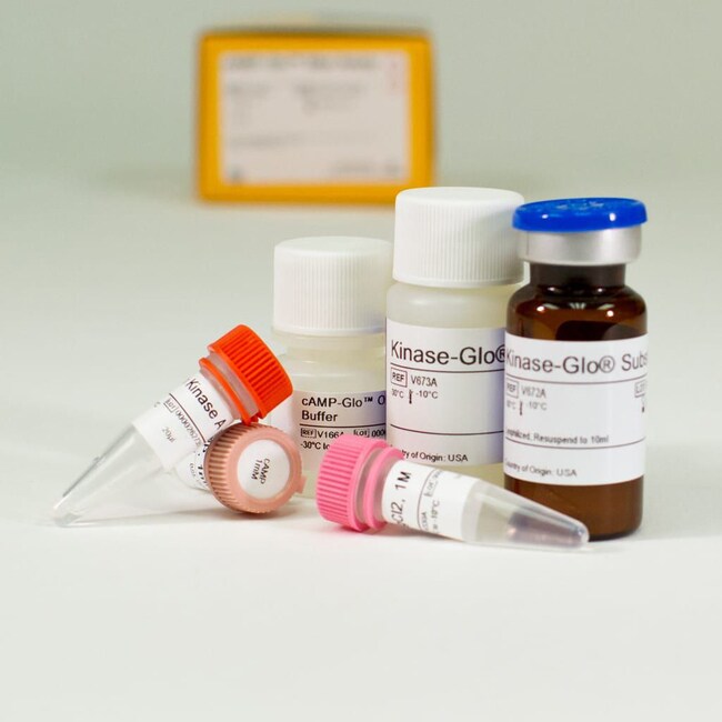 Promega cAMP-Glo Max Cyclic-AMP Assay:Cell Analysis Products:Cell Based ...