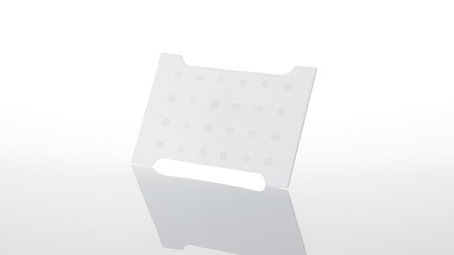 Promega MagnaBot Spacers 1/8 in.; MagnaBot:Molecular Biology Reagents ...