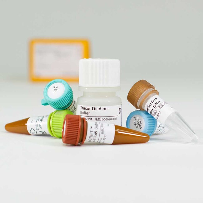 Promega NanoBRET TE Intracellular Kinase Assay, K-4, 100 assays ...