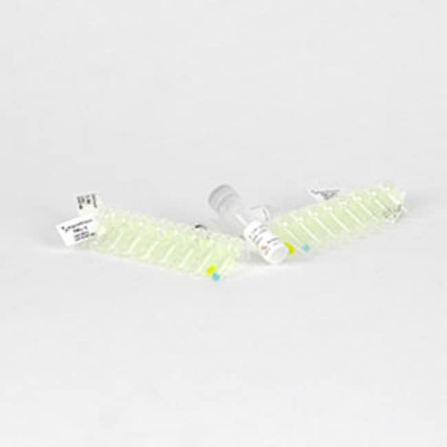 Promega Kinase Selectivity Profiling System: TKL-1, 8 x 50 reactions ...