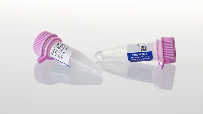 Promega Exonuclease III:Enzymes and Inhibitors:Modifying Enzymes ...