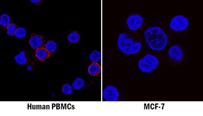 HCD45 MONO ANTIBODY 100 UG