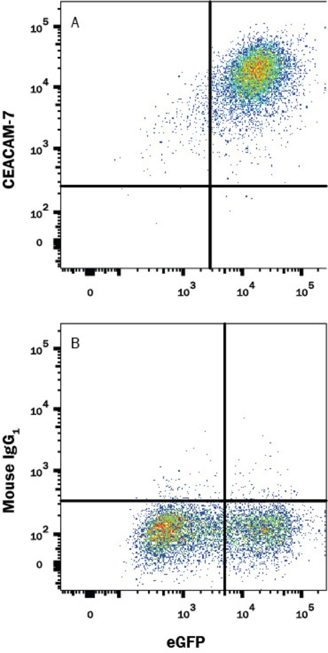 Human CEACAM-7 Antibody, R D Systems:Antibodies:Primary Antibodies ...
