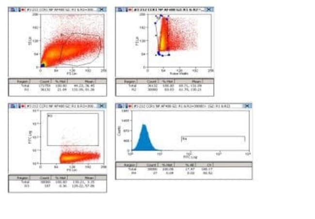 Normal Human IgG, Isotype Control, R D Systems 1mg, Unlabeled ...