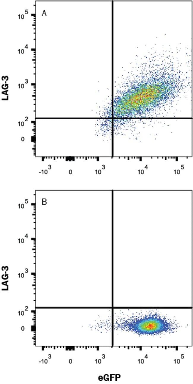 Human LAG-3 APC-conjugated Antibody, R D Systems 100 Tests; APC ...