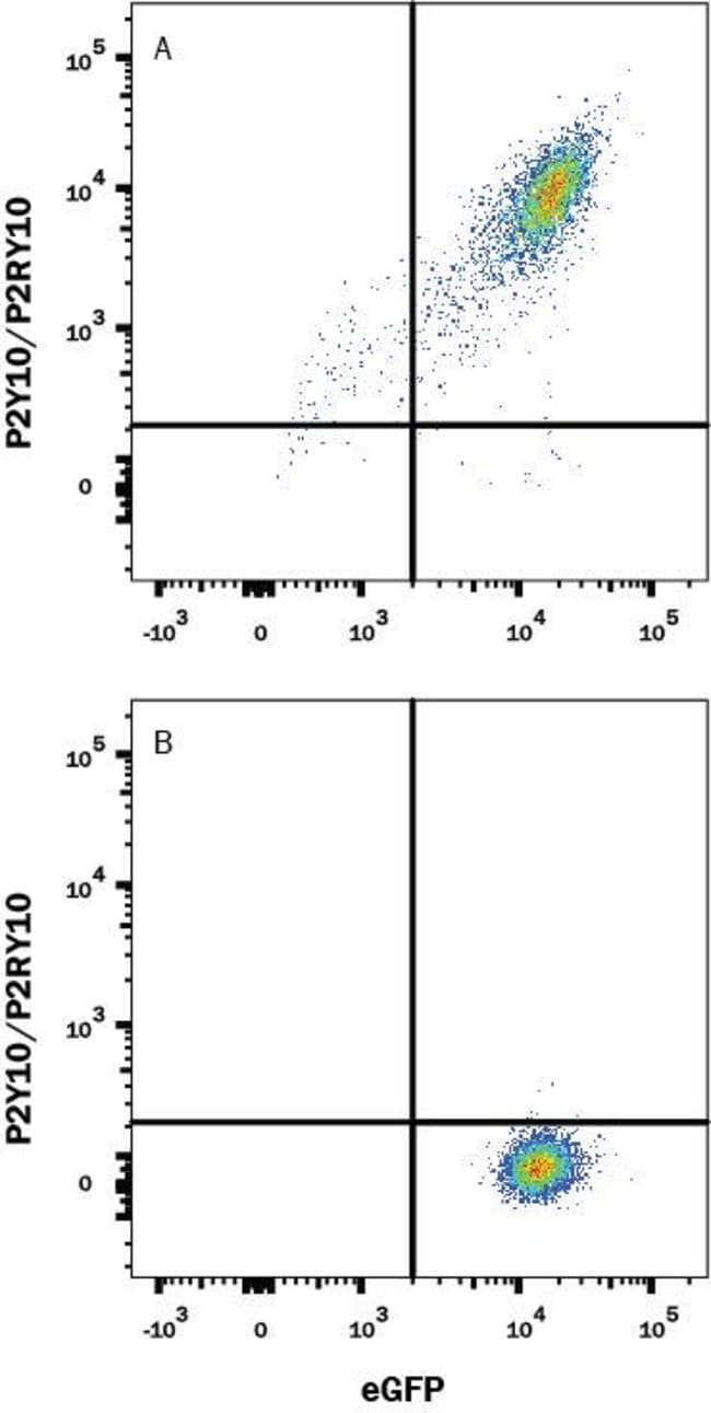 Human P2Y10/P2RY10 PE-conjugated Antibody, R D Systems 100 Tests ...