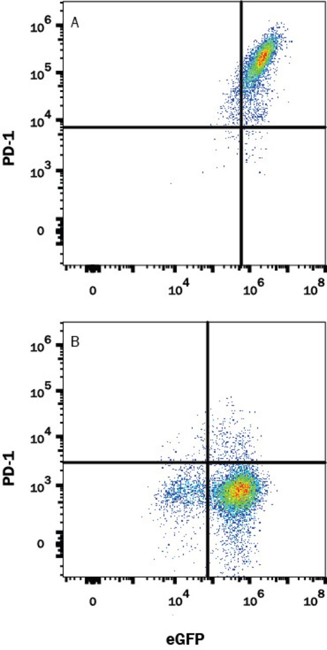 Mouse PD-1 Antibody 100 μg; Unconjugated:Antibodies, Monoclonal ...