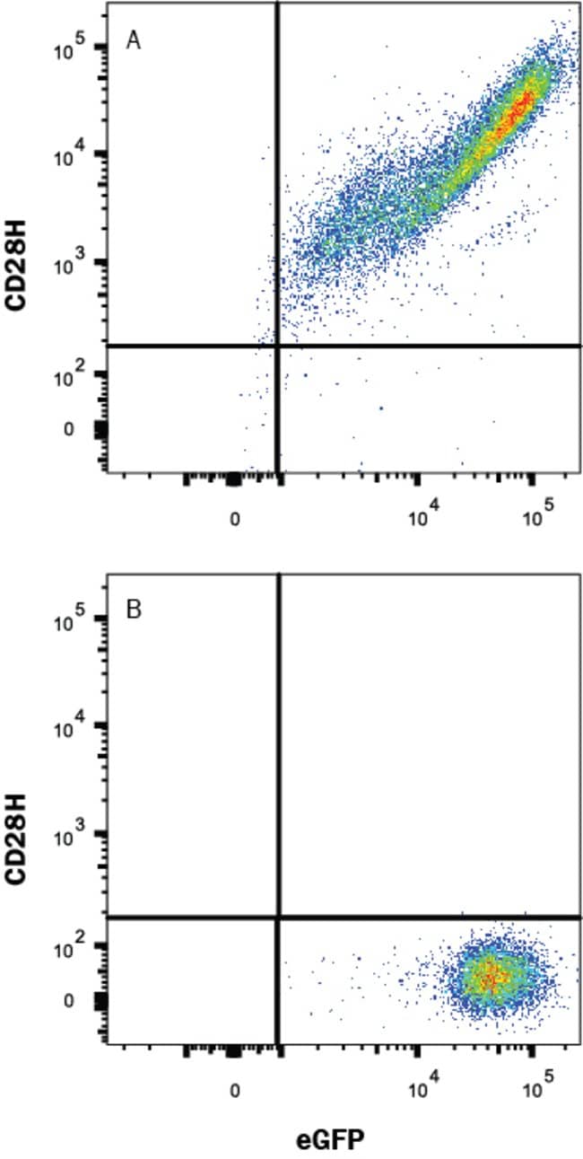 HTMIGD2/CD28H A647 MAB 100 UG