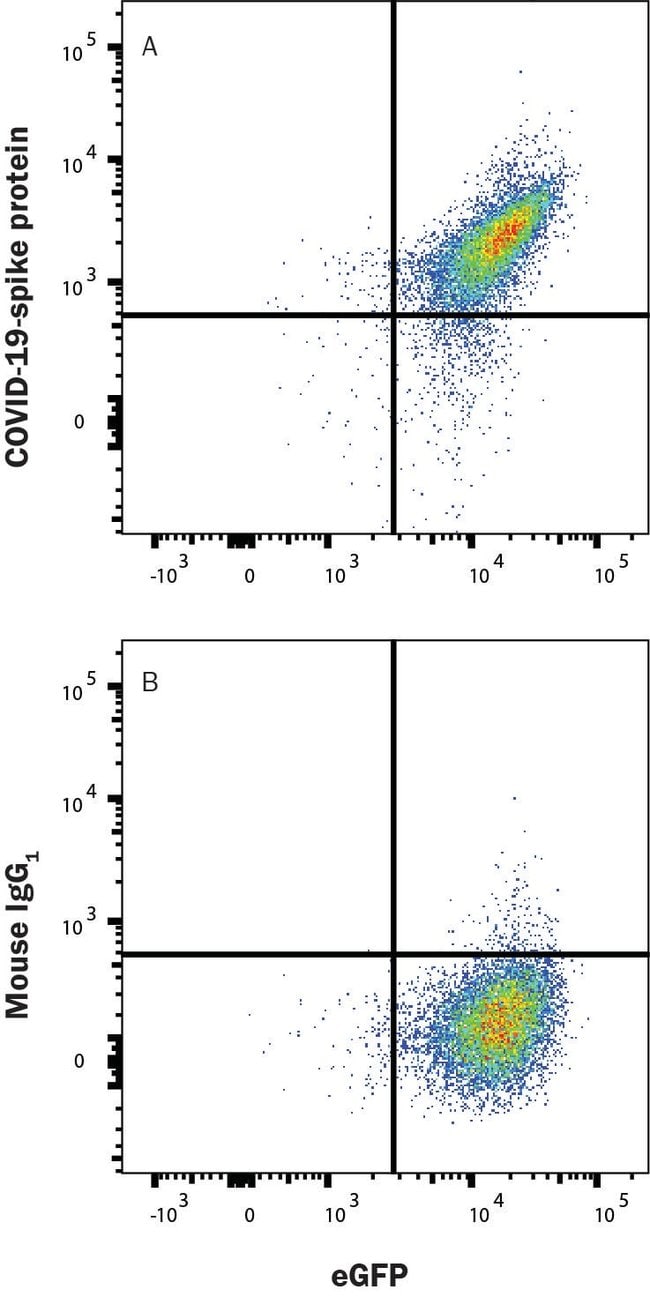 SARS-CoV-2 Spike S1 Protein Mouse anti-SARS-CoV-2, Alexa Fluor 647, Clone: | Fisher Scientific