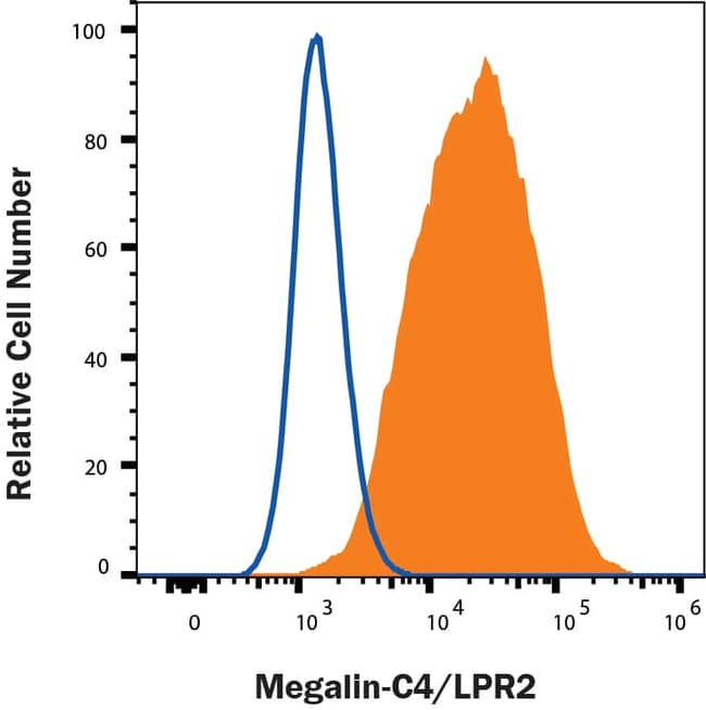 Human Megalin/LRP2 PE-conjugated Antibody, R&D Systems™ 100 Tests; PE ...