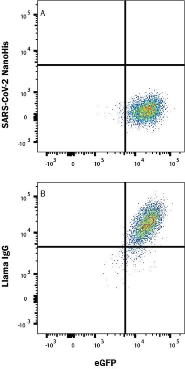 SARS-CoV-2 Spike RBD LlamabodyTM VHH His-tag Antibody, R D Systems 25 μg; | Fisher Scientific