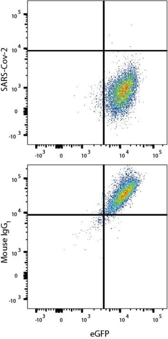 SARS-CoV-2 Spike S1 Subunit Antibody, R&D Systems™ 100 μg; Unconjugated | Fisher Scientific