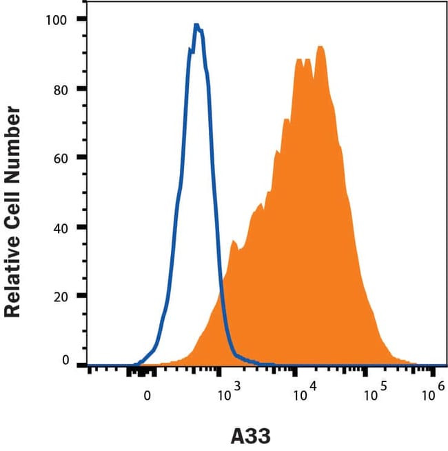A33/GPA33 Rabbit anti-Human, Clone: 2867A, R:Antibodies:Primary ...