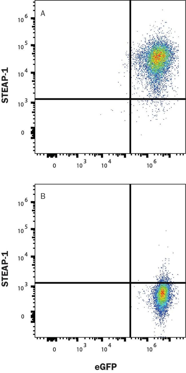 Human STEAP1 Antibody, R D Systems:Antibodies:Primary Antibodies ...