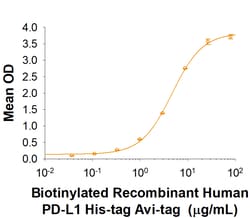 R&D Systems™ Recombinant Human PD-L1/B7-H1 His-tag Avi-tag Protein 50 ...