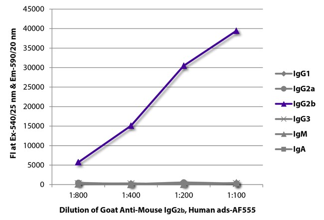 GT A-MS IGG2B X HU-AF555