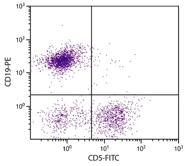 CD5 Rat anti-Mouse, FITC, Clone: 4H8E6, Southern Biotech Fluorescein, 0.1mg:Antibodies | Fisher ...