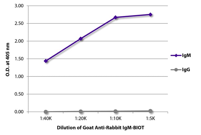 IgM Goat anti-Rabbit, Biotin, Polyclonal, Southern Biotech Biotin, 1mg ...
