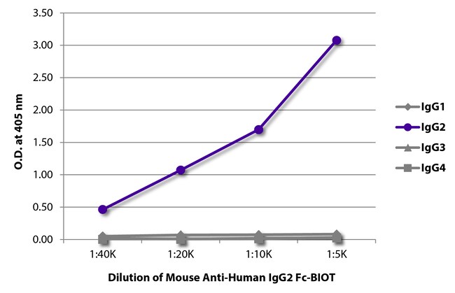 IgG2 Fc Mouse anti-Human, Biotin, Clone: 31-7-4, Southern Biotech ...