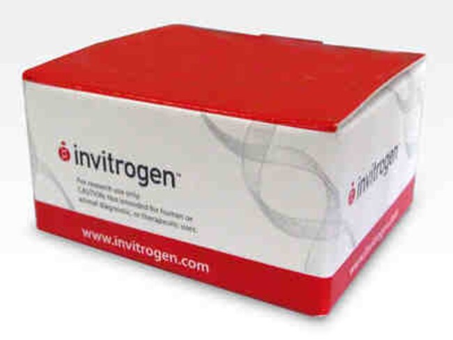 Invitrogen™ Stealth RNAi™ siRNA Negative Control Hi GC 250μL Controles ...