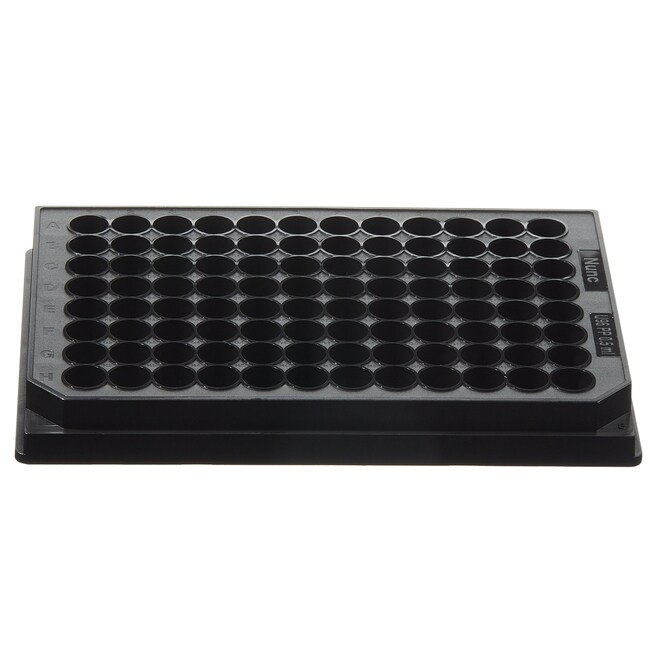 Thermo Scientific Nunc 96-Well Polypropylene Storage Microplates 96 ...