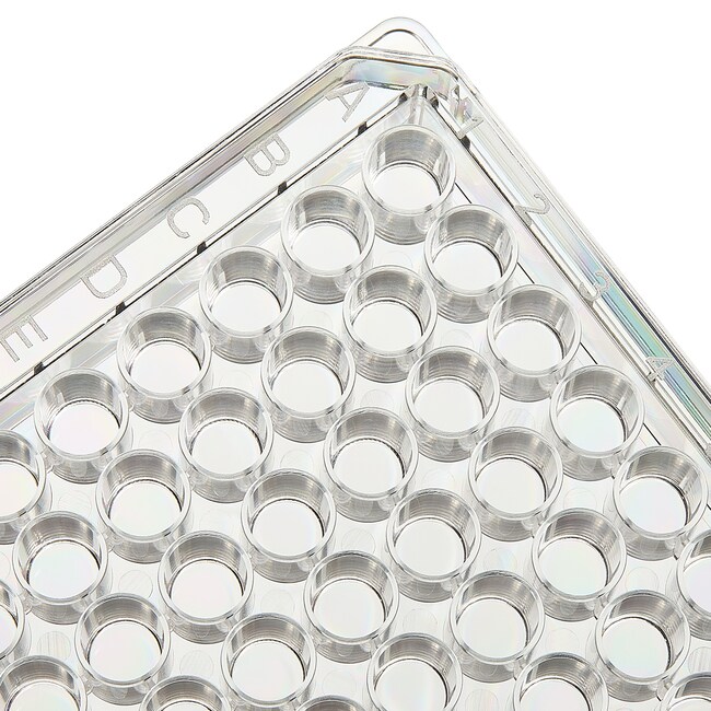 Fisherbrand™ 96-Well Plates | Fisher Scientific