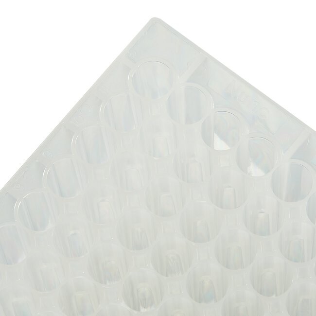 Thermo Scientific™ Nunc™ 96-Well Polypropylene DeepWell™ Storage Plates ...