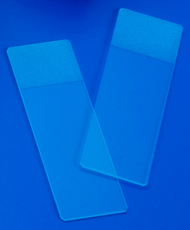 Fisherbrand Bev-L-Edge Slides Yes | Buy Online | Fisher Scientific