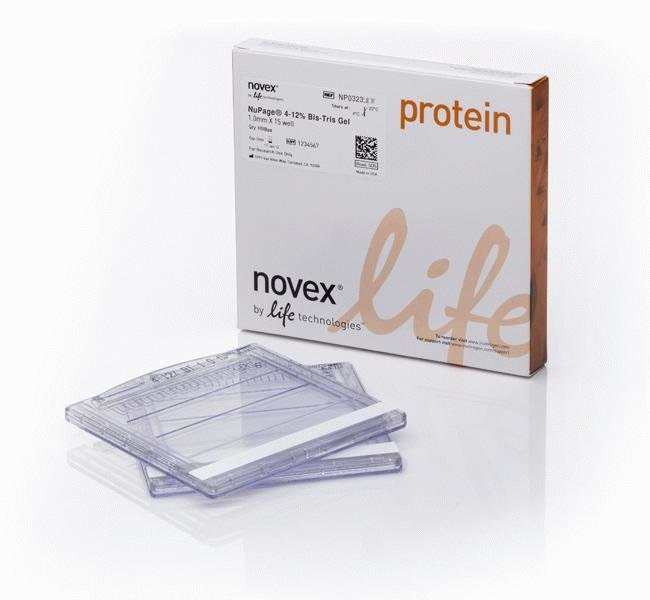 Invitrogen Novex NuPAGE 4-12% Bis-Tris Protein Gels, 1.5mm, 10 well 4 ...