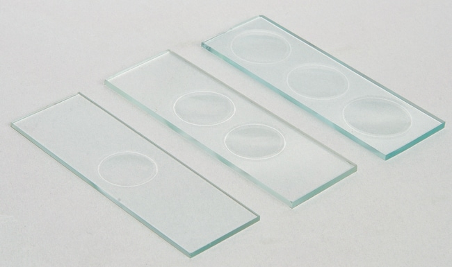 United Scientific Glass Concavity Slides, 1.3 mm:Microscope Slides ...