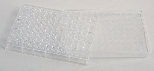 United Scientific Clear Plastic Well Plate:Microplates:Storage ...