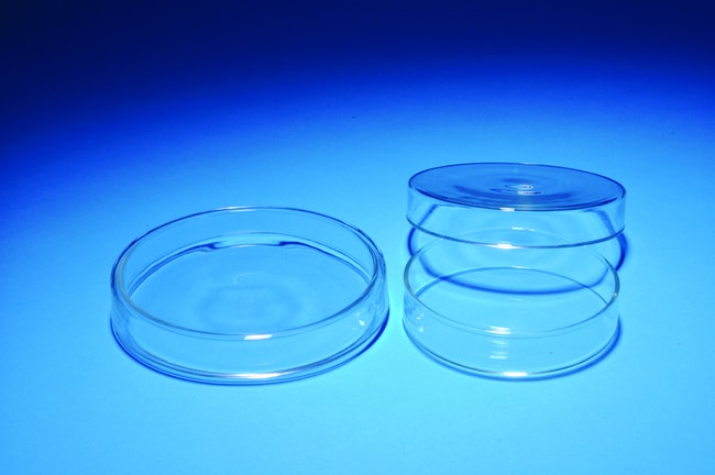 United Scientific Supplies Glass Petri Dishes 60 mm | Buy Online ...