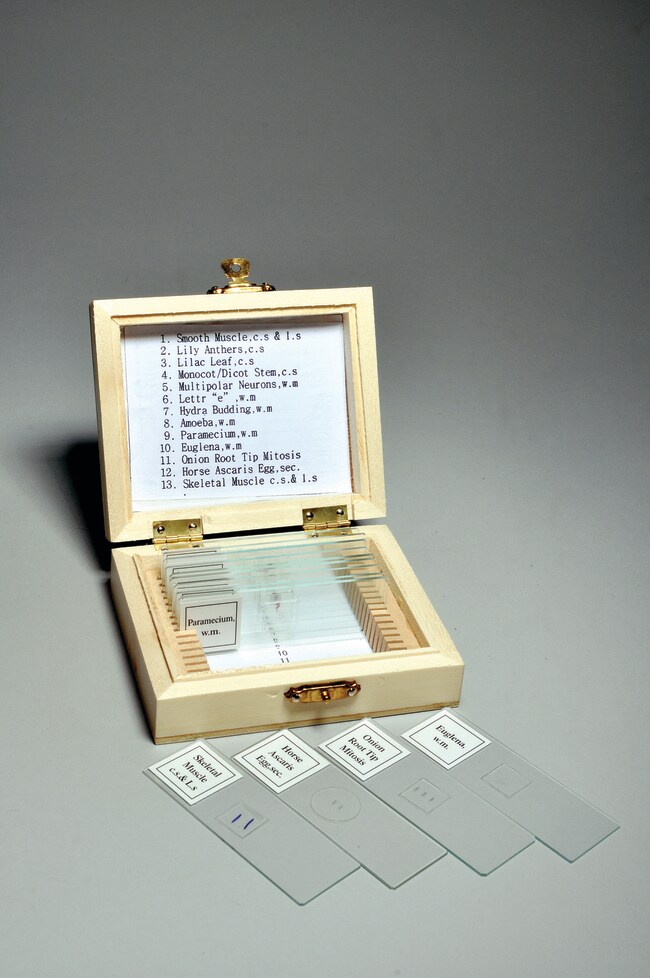 United Scientific Biology Prepared Slide Set, 13 Slides Material: Glass ...
