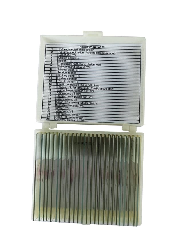 United Scientific Histology Slide Set 5 to 12 | Buy Online | United ...