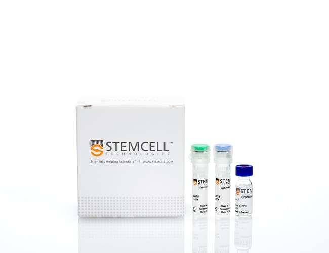STEMCELL Technologies Human IgM ELISA Antibody Pair Kit 1 Kit for 6 ...